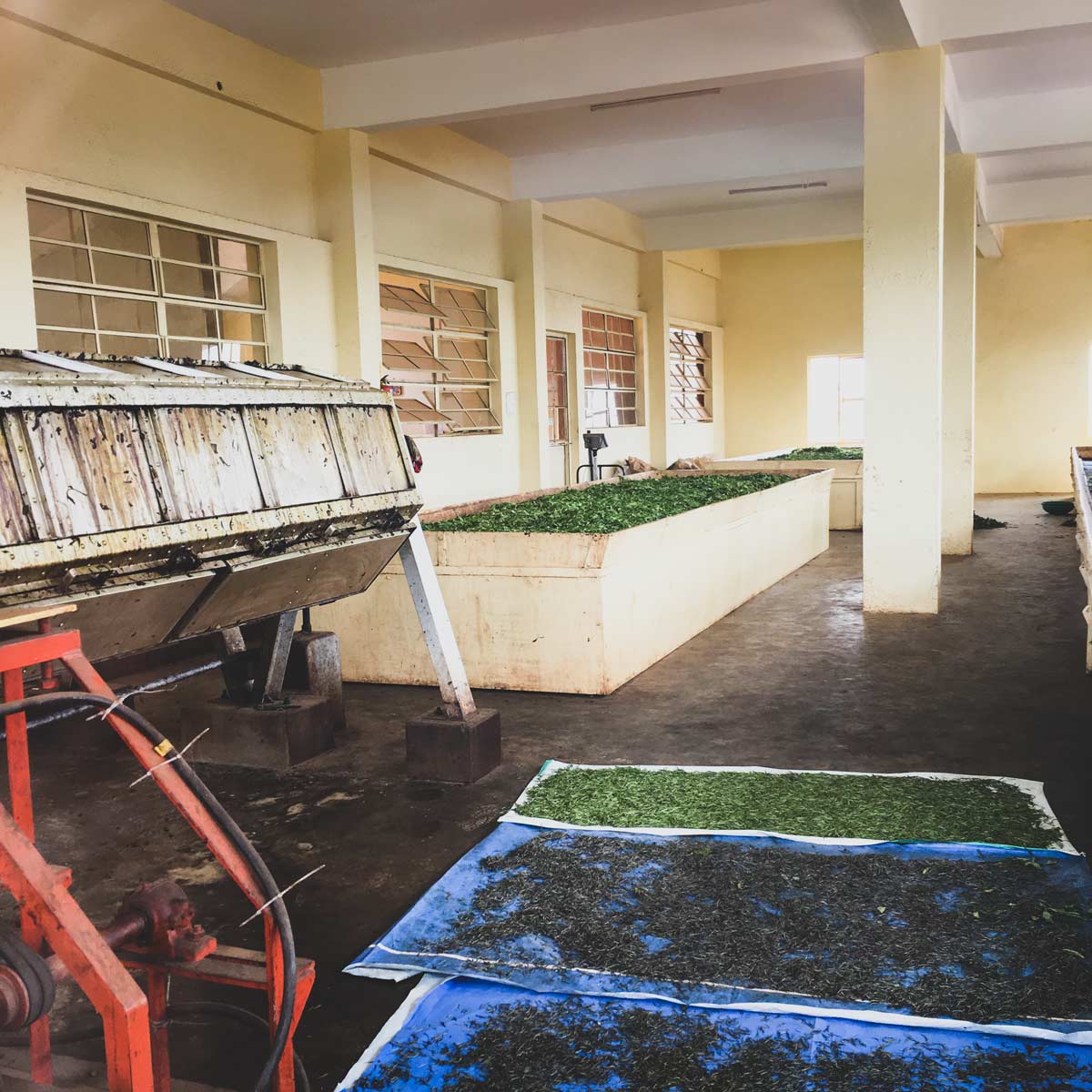 Ooty and the Nilgiri Hills - Faces Places and Plates