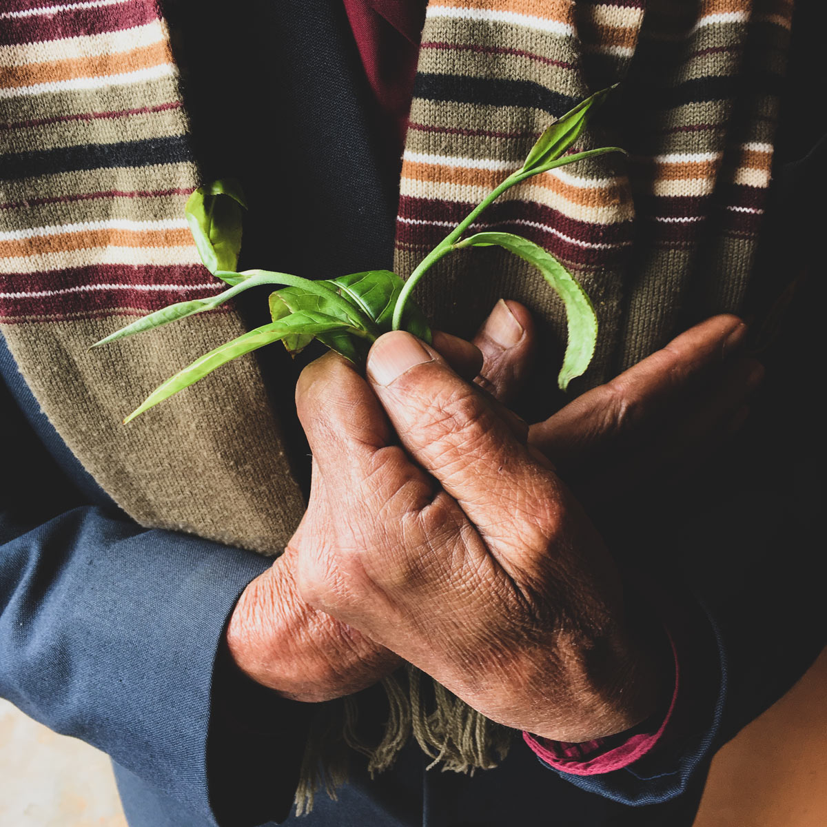 Tea Time in Ooty with Nanjundan - Faces Places and Plates