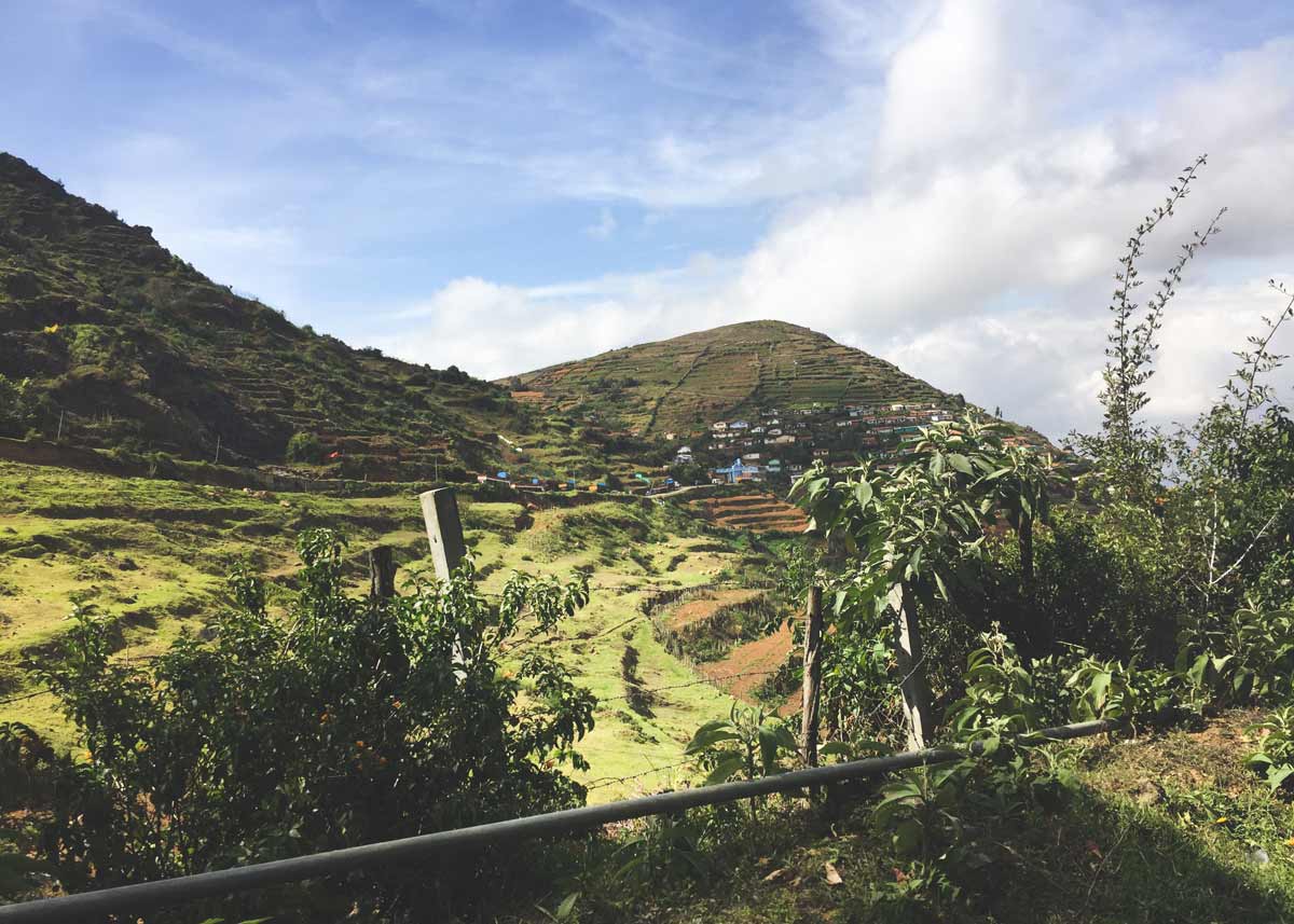 Wayanad - Land of Paddy Fields - Faces Places and Plates