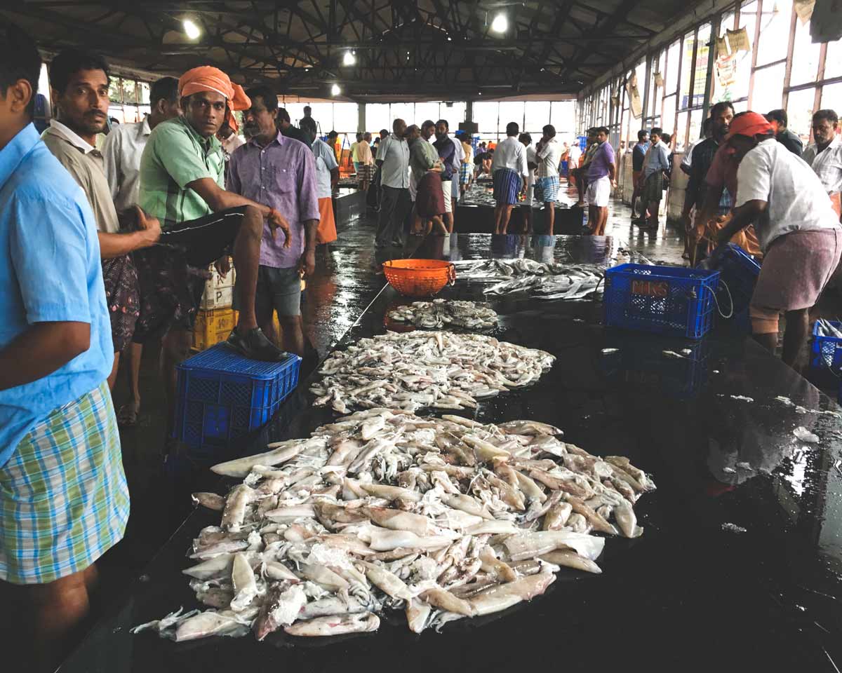 Kozhikode’s Fish Auctions - Faces Places and Plates