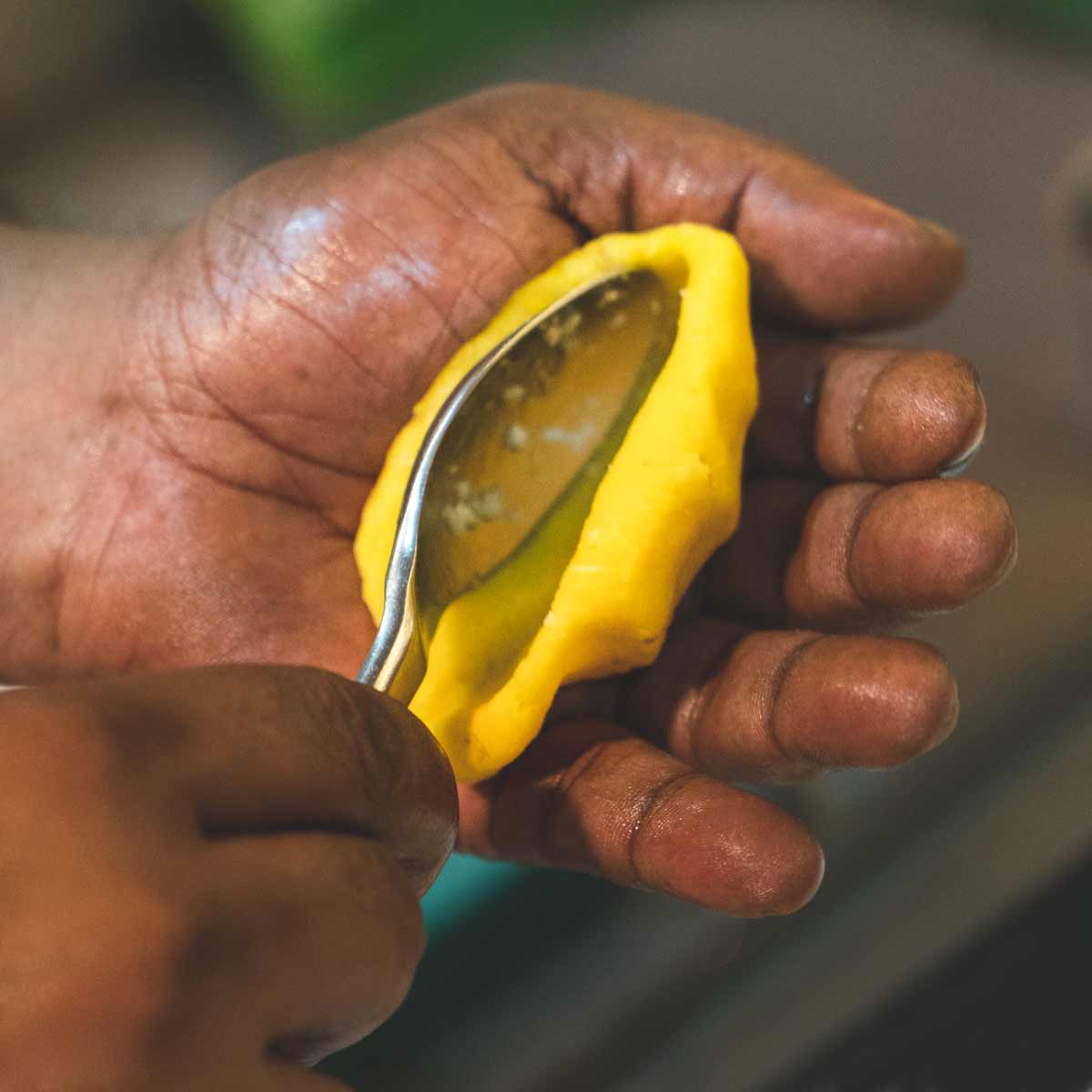 Unnakkai - Cotton Balls - Faces Places and Plates